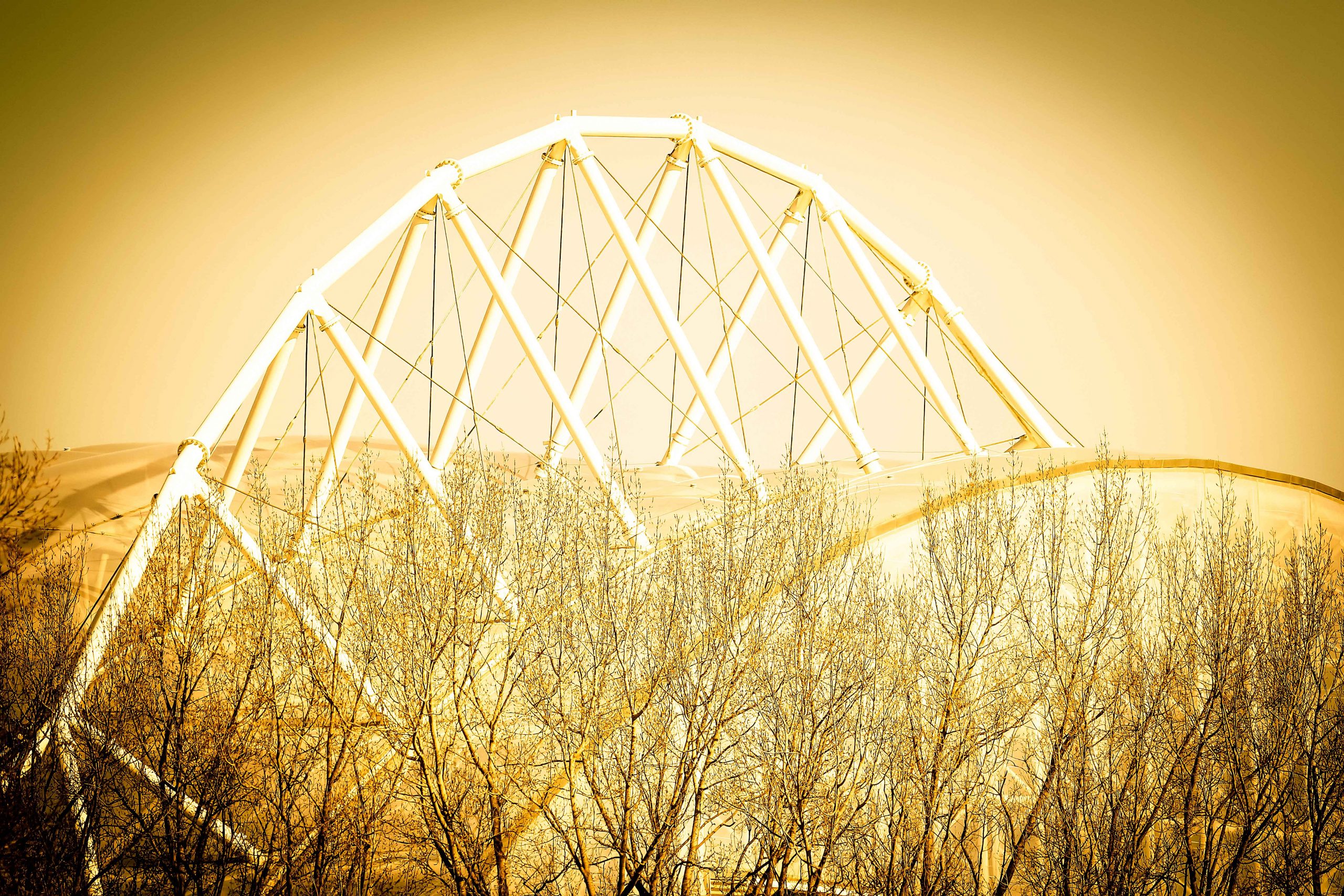 The Shapes Of Forsyth Barr Stadium - ... from a Small City