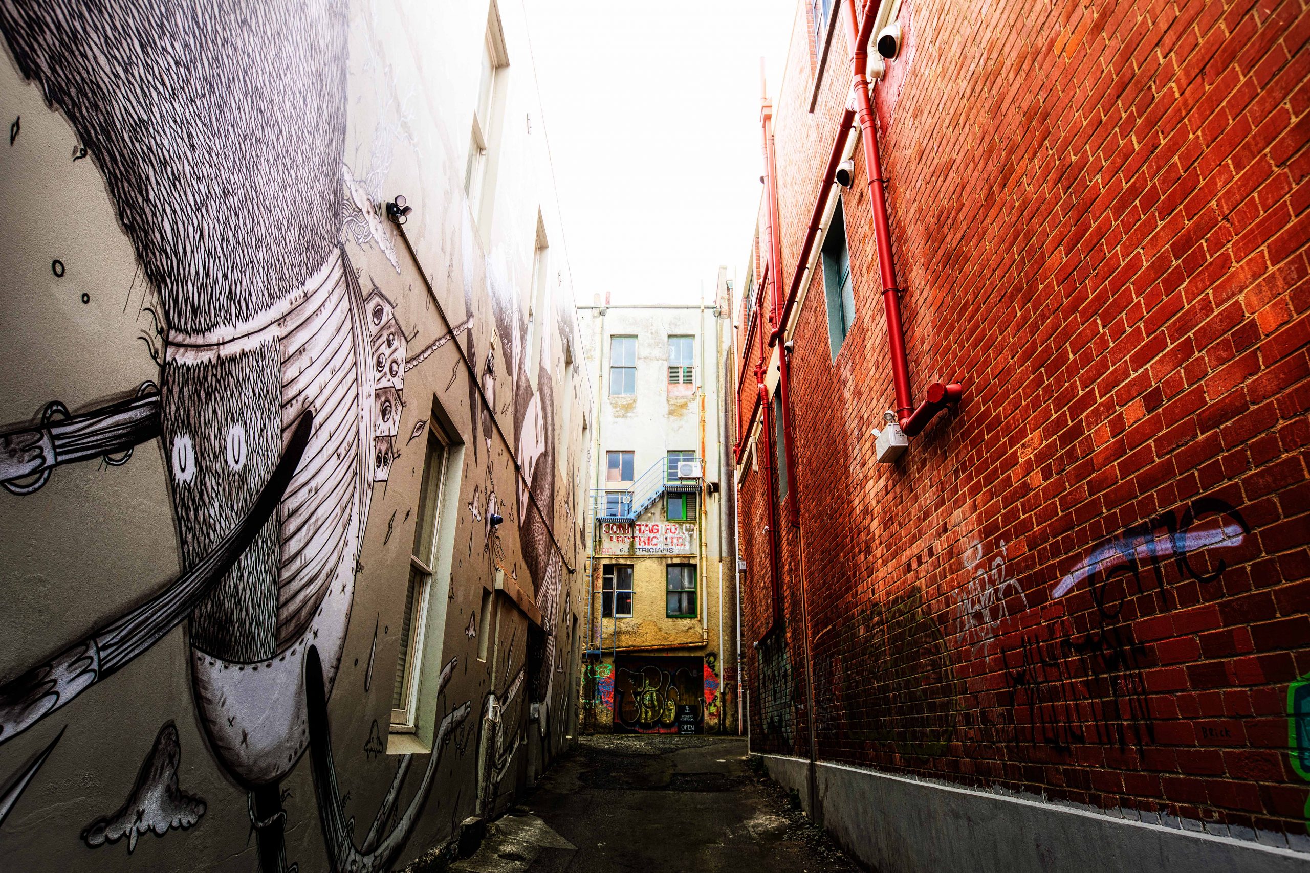 No Name Alley - ... from a Small City