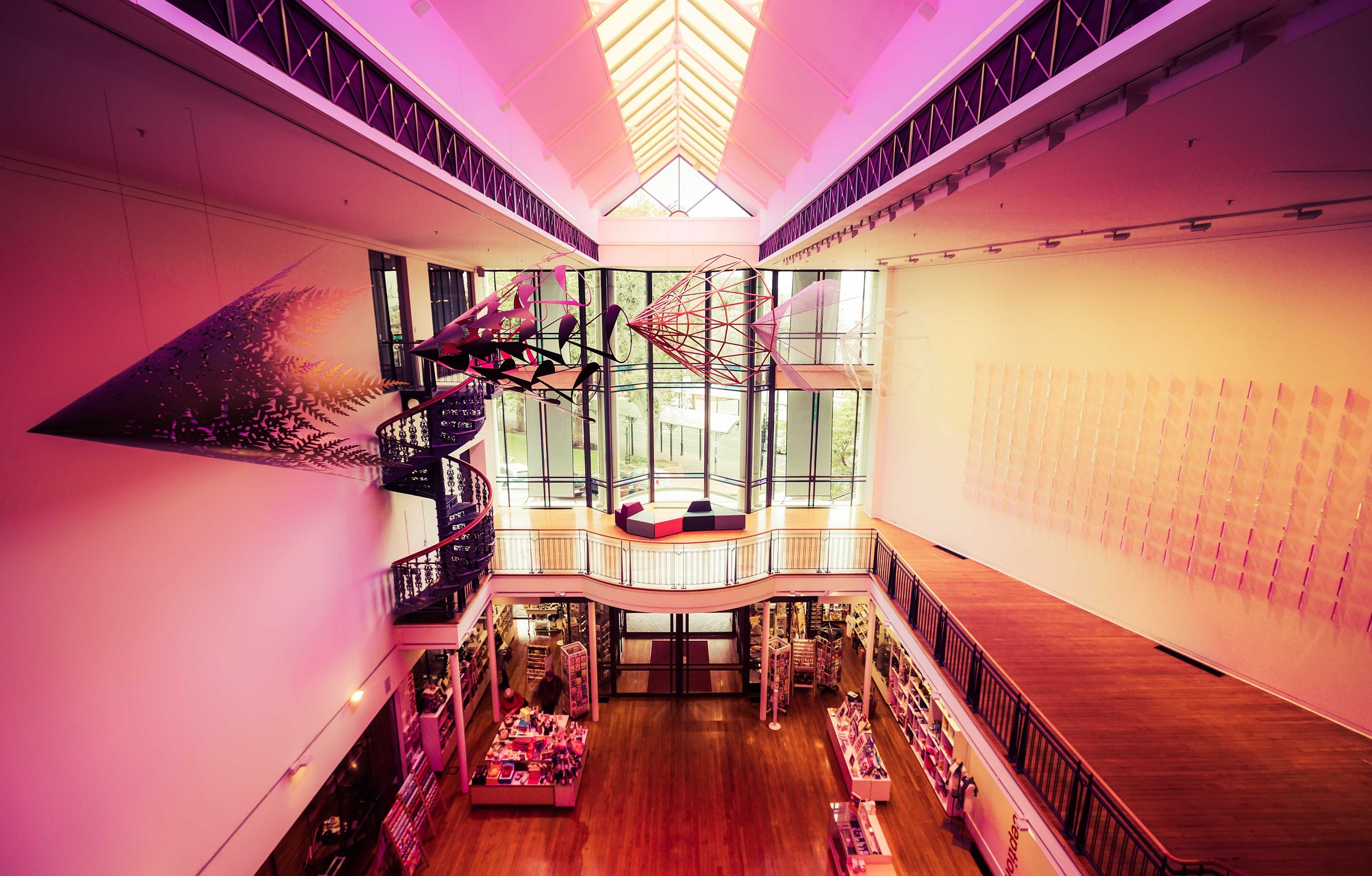 Dunedin Art Gallery - ... from a Small City