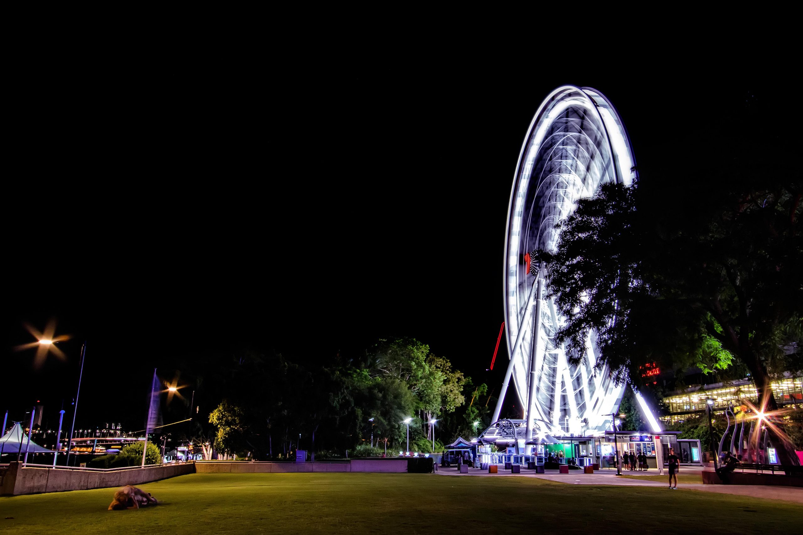 The Wheel of Brisbane - ... from a Small City