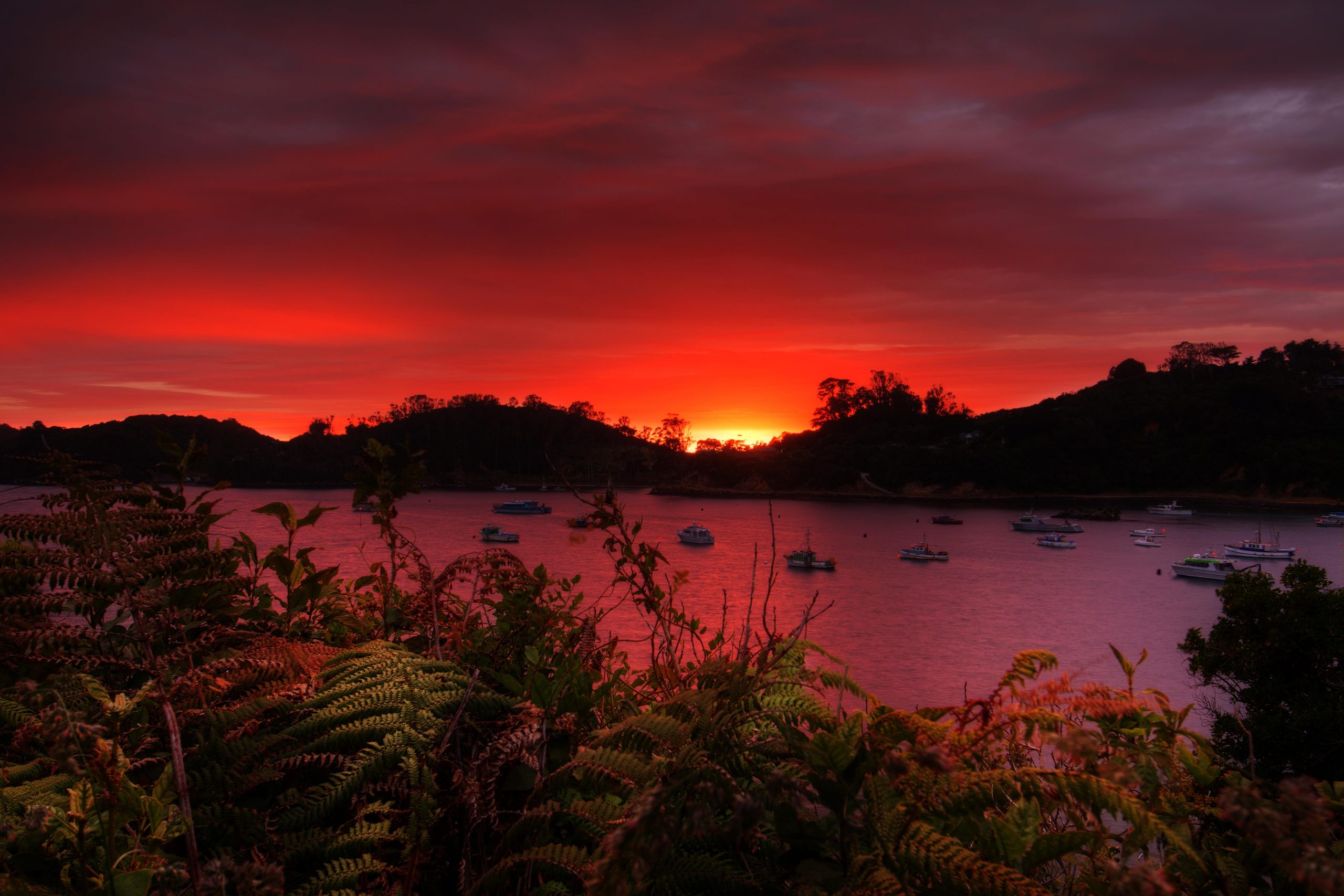 The Light Of Dawn In Oban - ... from a Small City