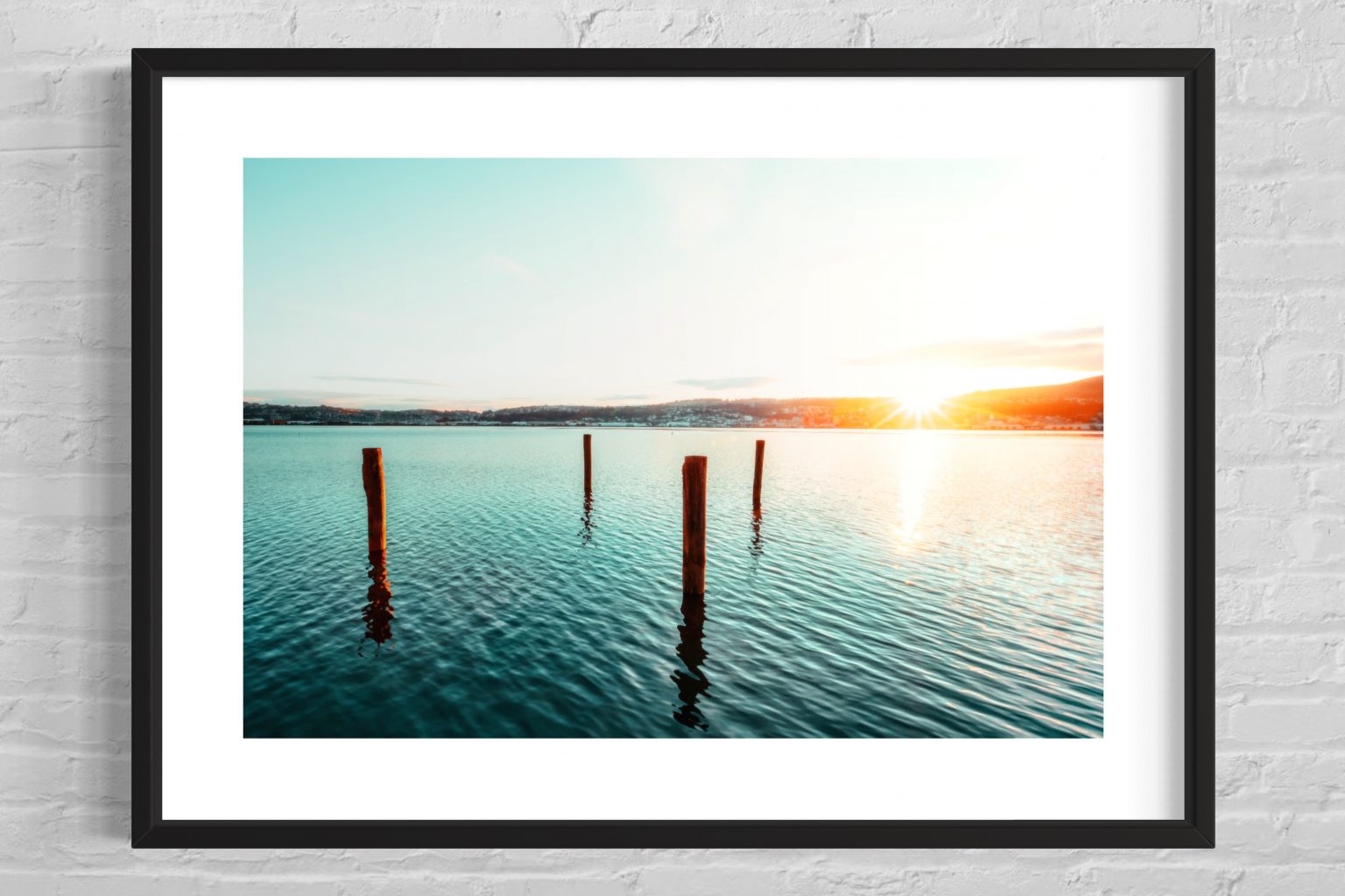 15 Spots To Get A Great Coffee in Dunedin - ... from a Small City